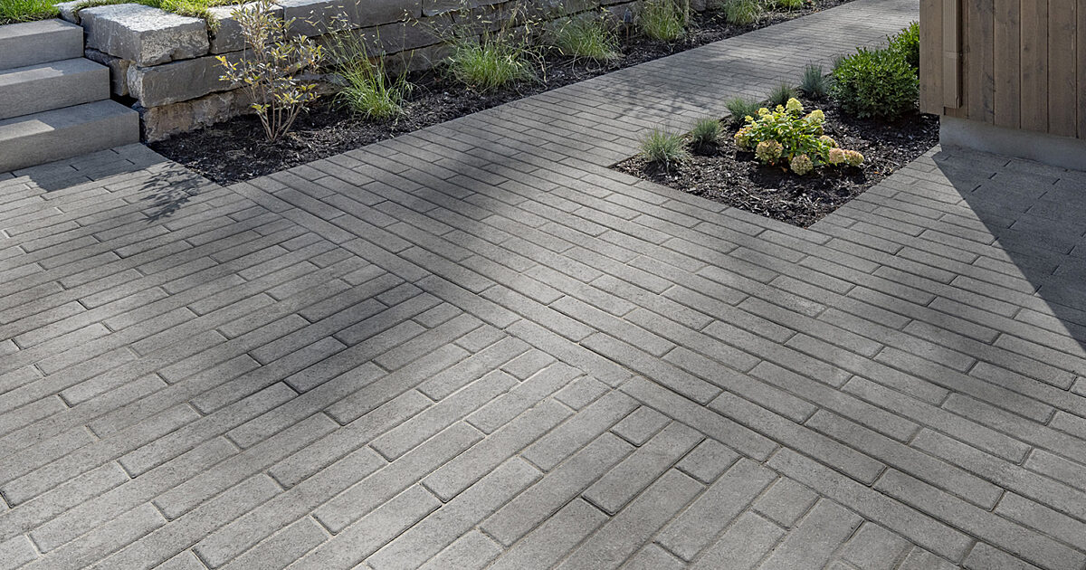 Rinox | Proma Barrette | Rinox